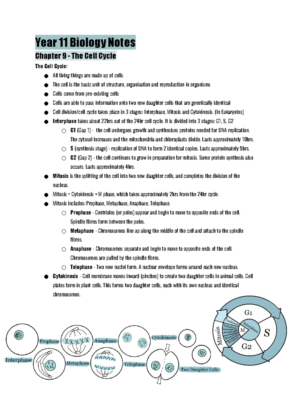 Biology notes - Year 11 Biology Notes Chapter 9 - The Cell Cycle The ...