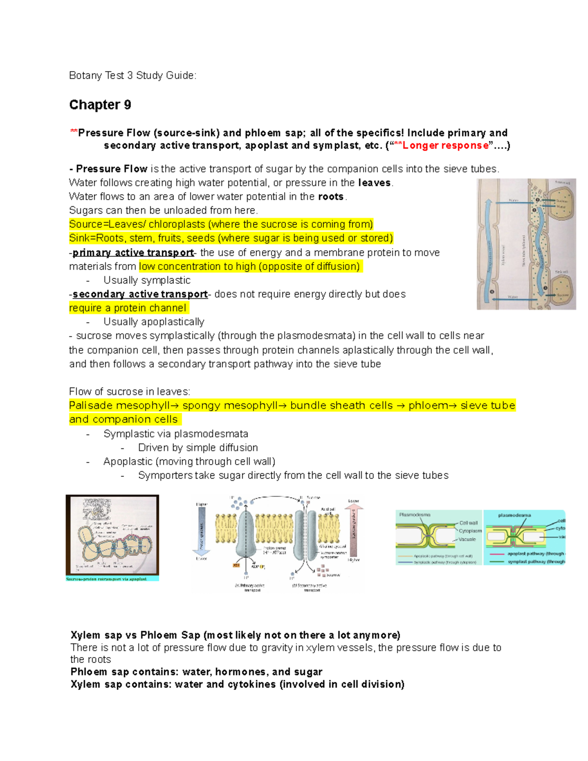 Test 3 Study Guide botany - Botany Test 3 Study Guide: Chapter 9 ...