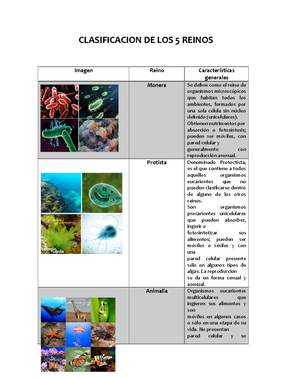 Clasificacion DE LOS 5 Reinos - CLASIFICACION DE LOS 5 REINOS Imagen ...