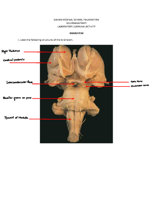 Trainees Manual Rdana 2021-06-15-01-51-52-pm - Rapid Damage Assessment ...