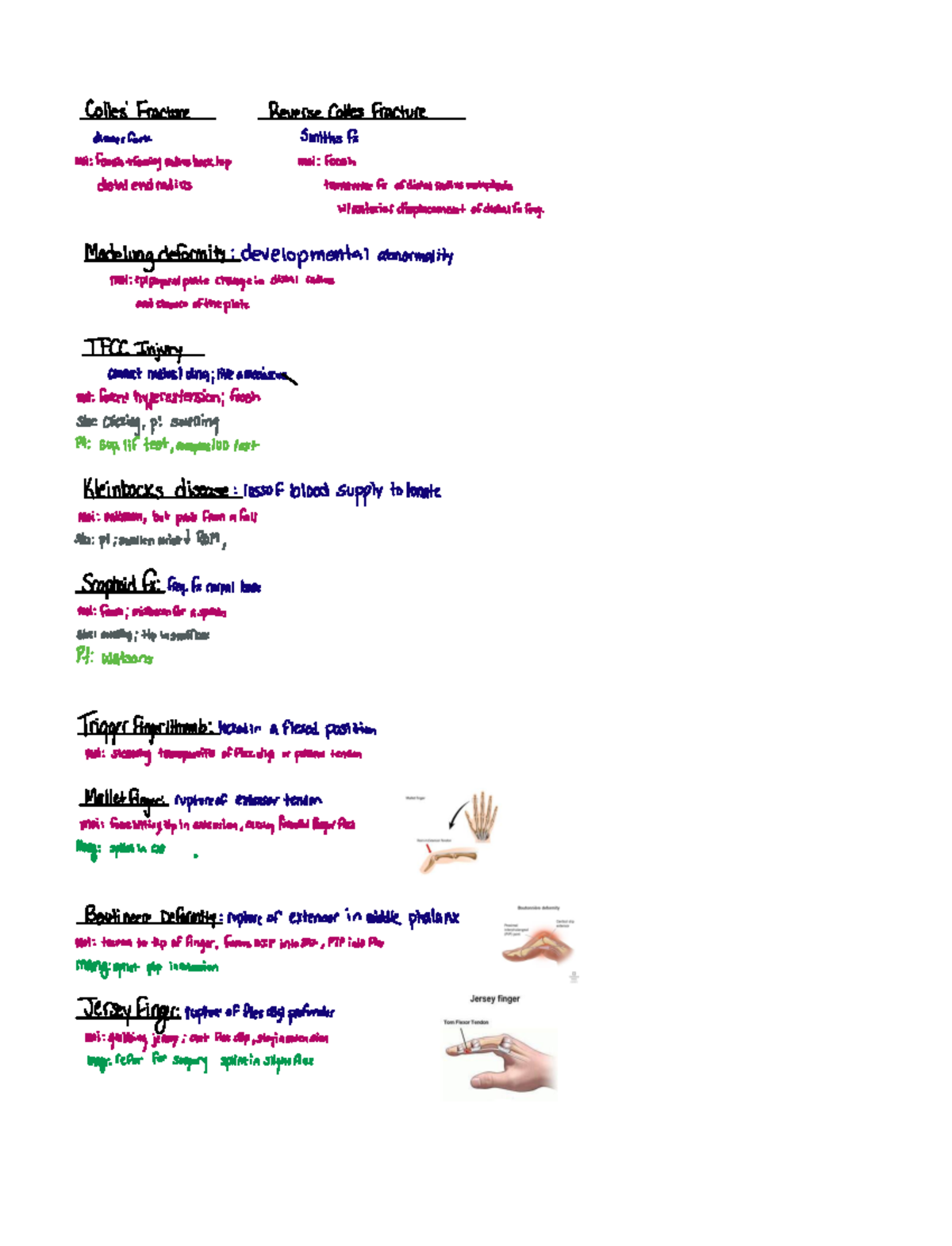 Things to know wrist and hand pathologies - Studocu