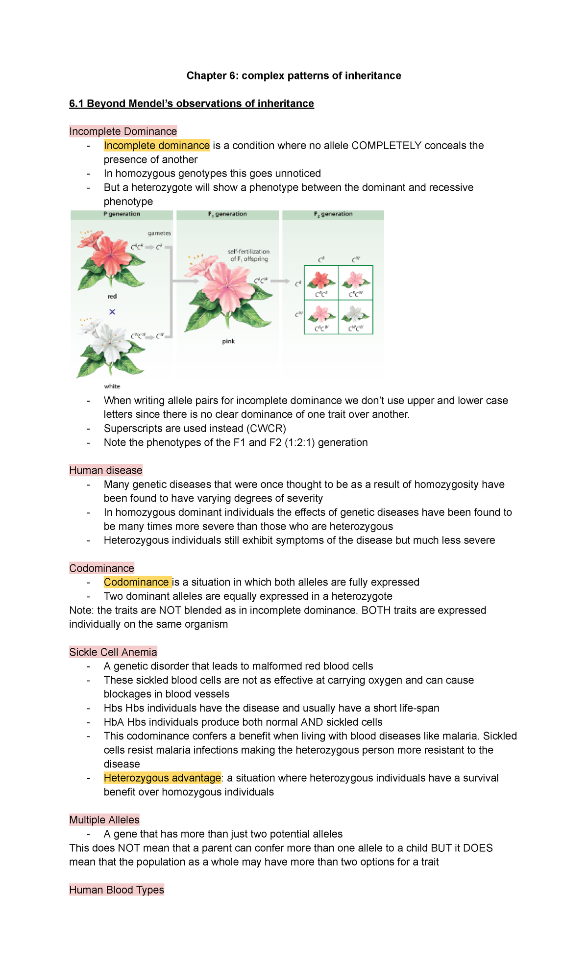 Chapter 6 - These notes are detailed and very useful - Chapter 6 ...