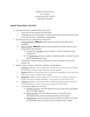 Lab Practical #1 Study Guide - Lecture Practical #1 Study Guide Anatomy ...