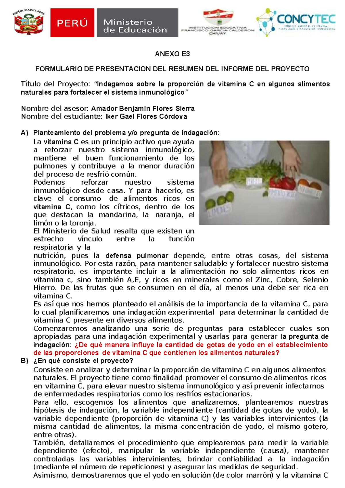 cuaderno de campo - ANEXO E FORMULARIO DE PRESENTACION DEL RESUMEN DEL INFORME DEL PROYECTO ...