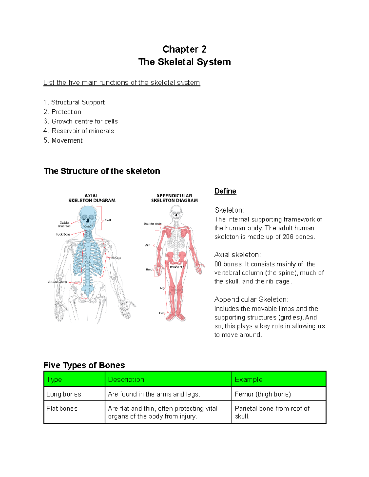 Chapter 2 Notes - Chapter 2 The Skeletal System List the five main ...