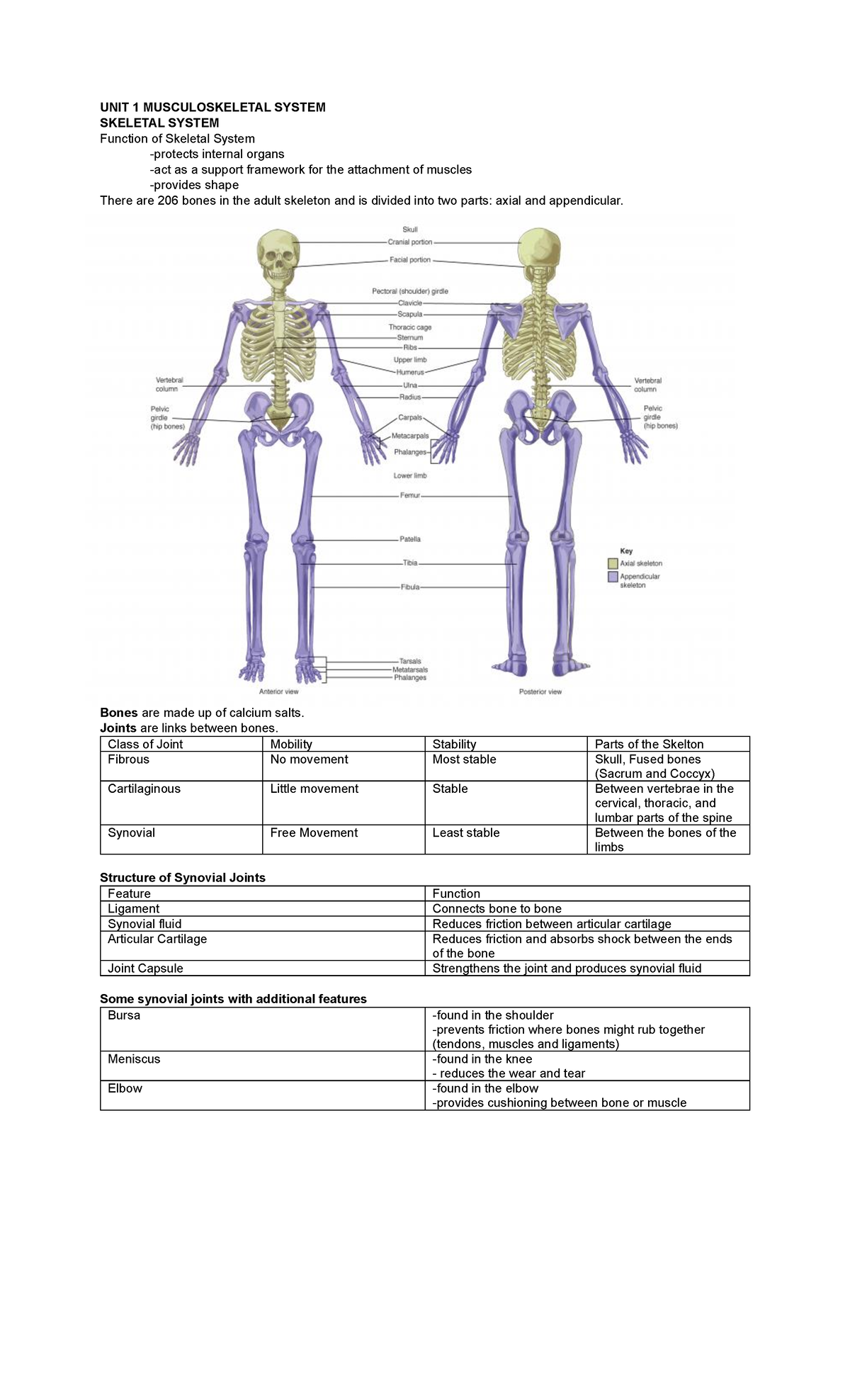 UNIT 1 Musculoskeletal System Summary - UNIT 1 MUSCULOSKELETAL SYSTEM ...