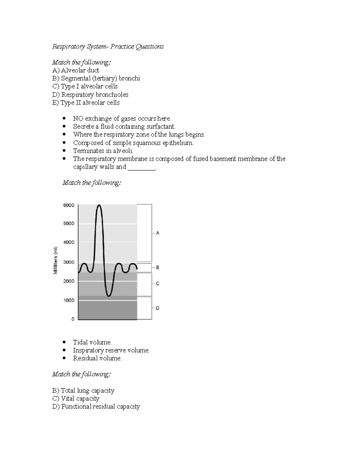 Respiratory System practice test questions (bio 214) - Respiratory ...