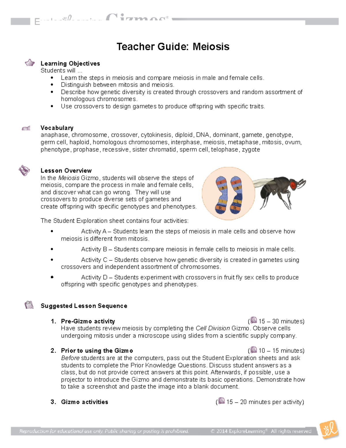 Meiosis TG ...