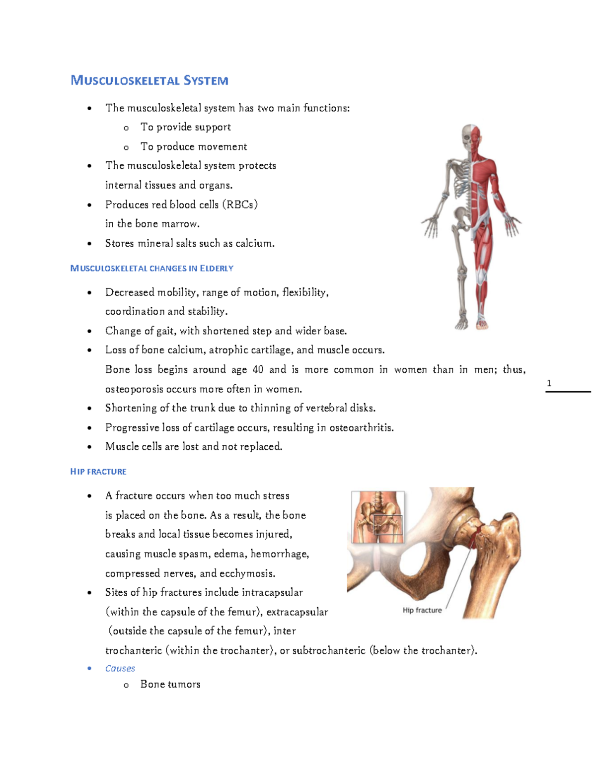 W8 - W10 Muscusloskeletal System - Module - 1 MUSCULOSKELETAL SYSTEM ...