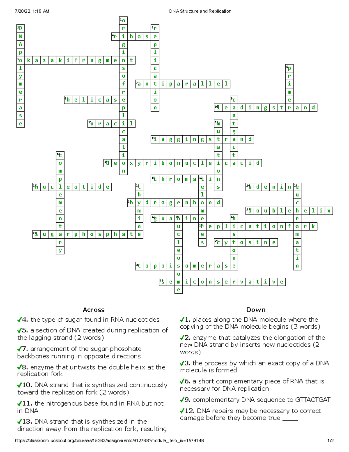 S16 Assignment DNA Structure And Replication Crossword Puzzle 7 20