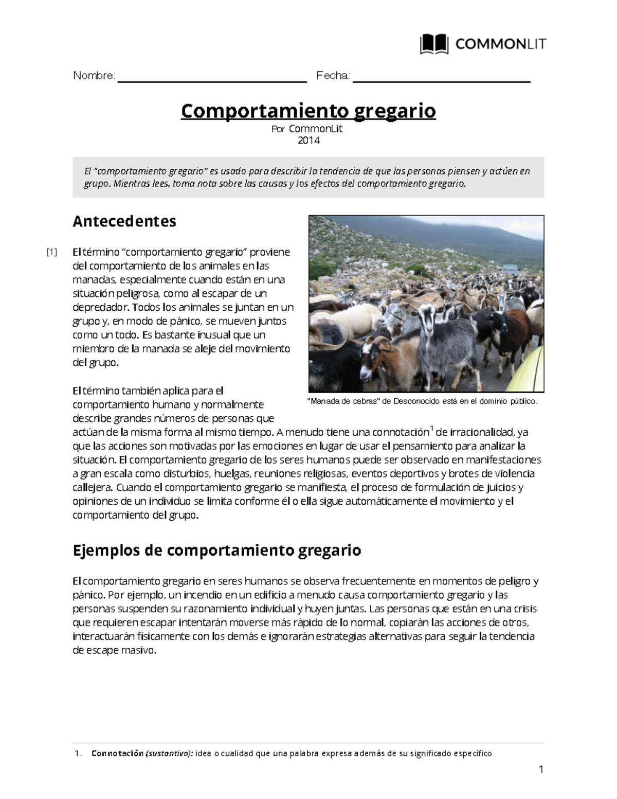 Comportamiento gregario - Name: Class: "Manada de cabras" by ...