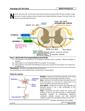 [Physio A] GIT Physiology 1-4-Vila (Venturina) - Dr. Vila Section 1D 2020 1 FUNCTIONAL ANATOMY ...