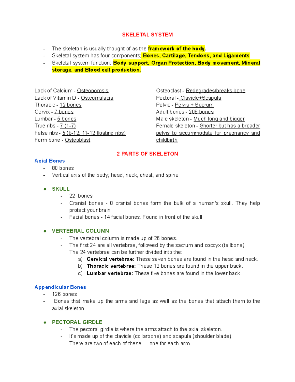Skeletal System-Anaphy lab - SKELETAL SYSTEM The skeleton is usually ...