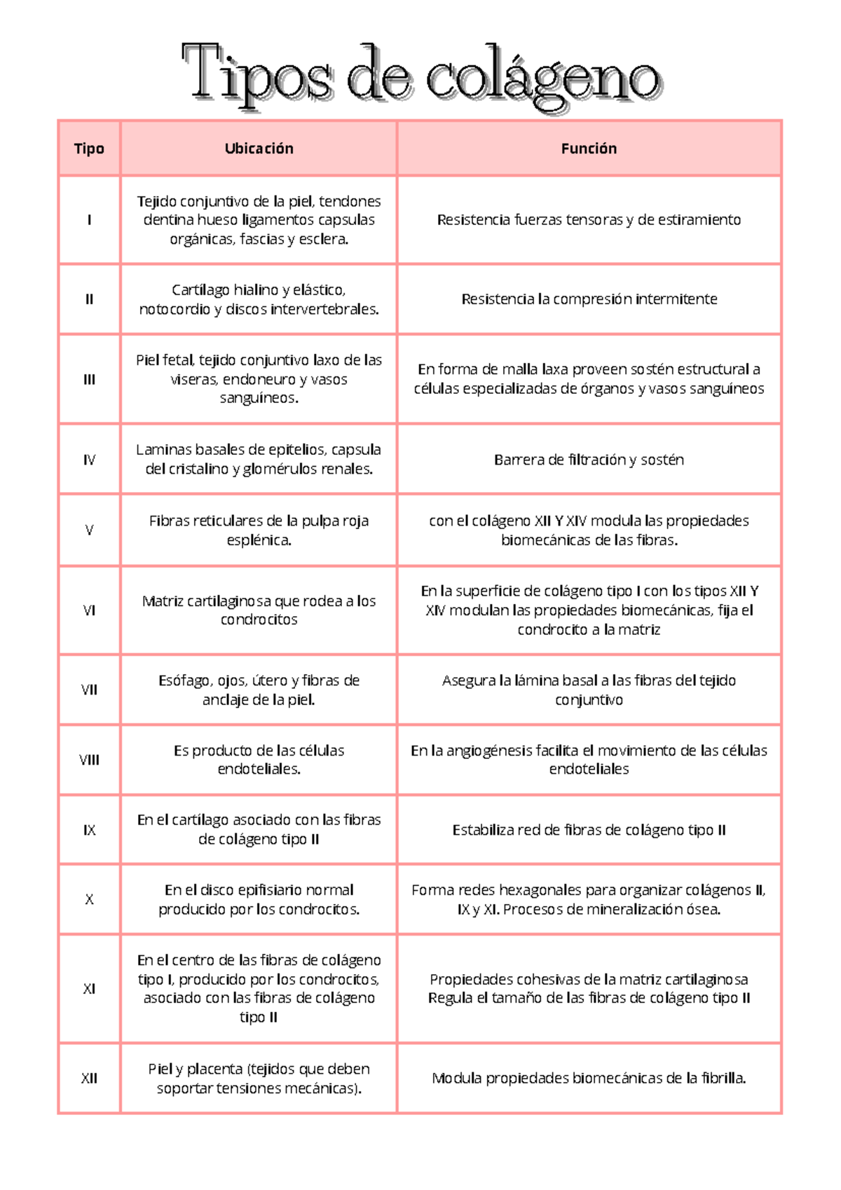 Tipos de colágeno - Tipo Ubicación Función I Tejido conjuntivo de la ...