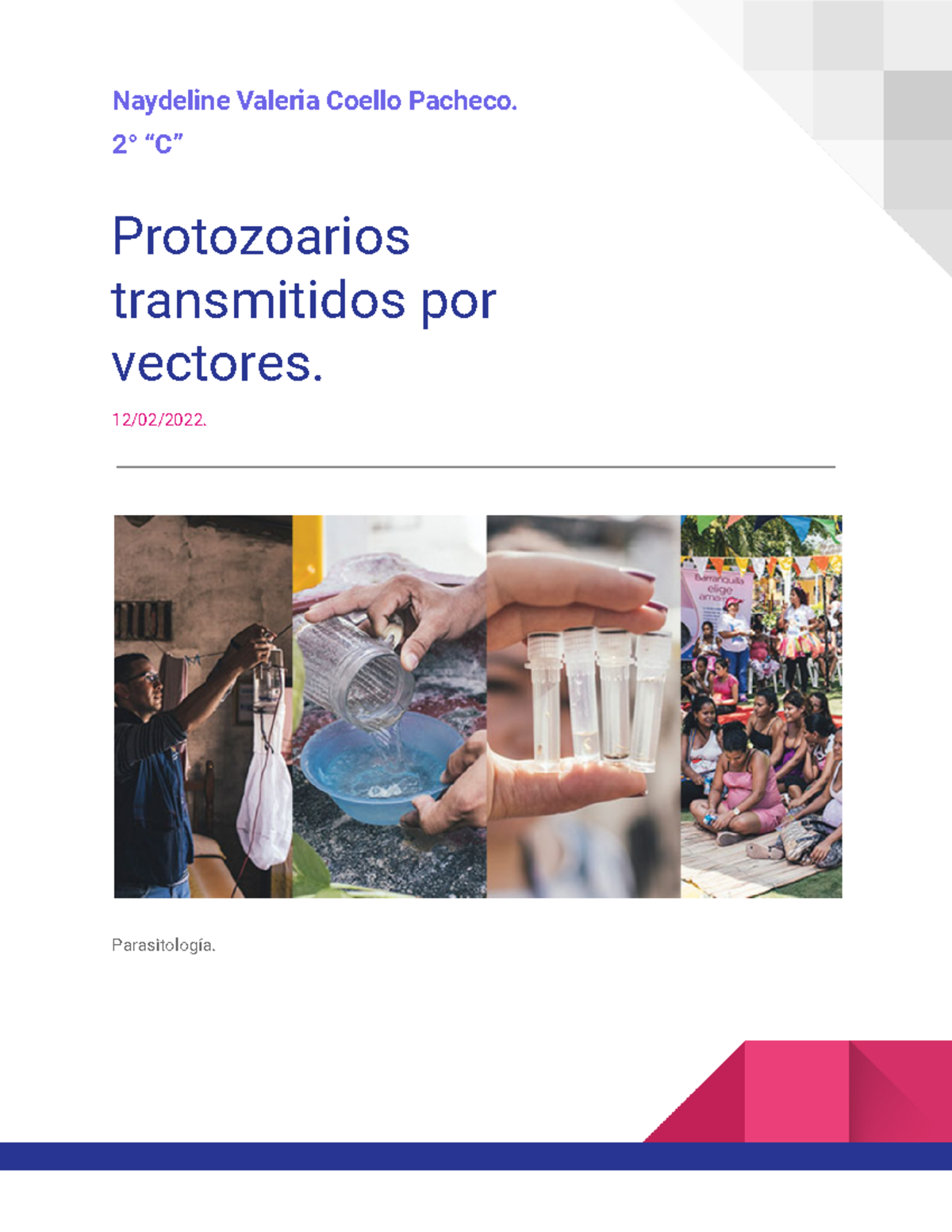 Protozoarios transmitidos por vectores - Naydeline Valeria Coello ...