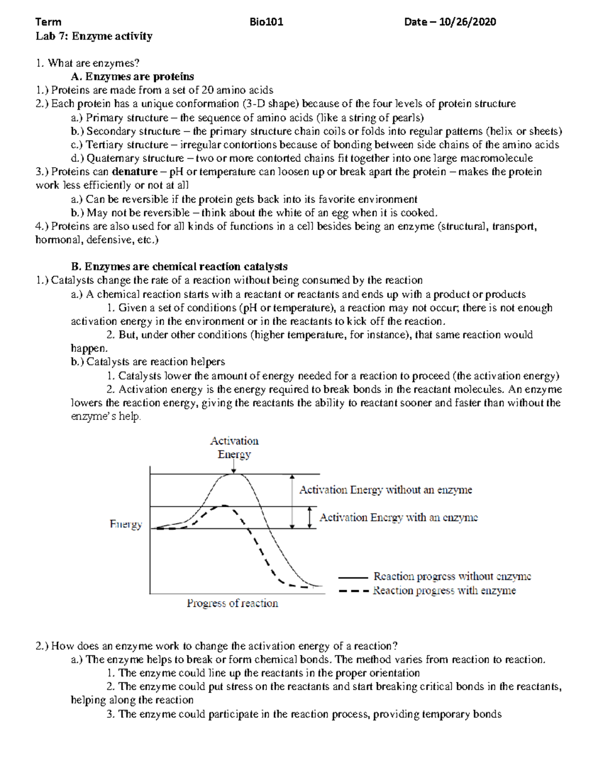 BIO 1101 - LAB 8 - Term Bio101 Date – 10/26/ Lab 7: Enzyme activity ...