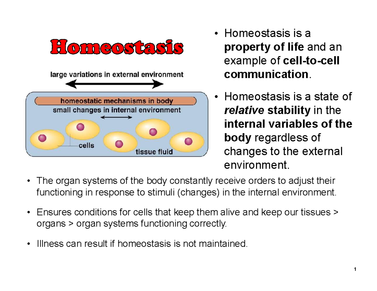 BZE W24-Lab 1-Homeostasis - Homeostasis is a property of life and an ...