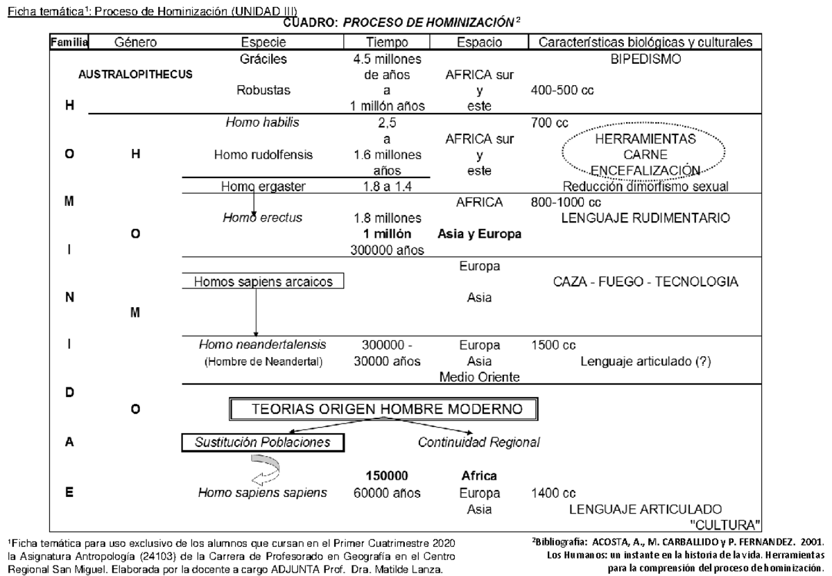 Ficha Tematica Hominizacion Cuadro - Ficha temática 1 : Proceso de ...