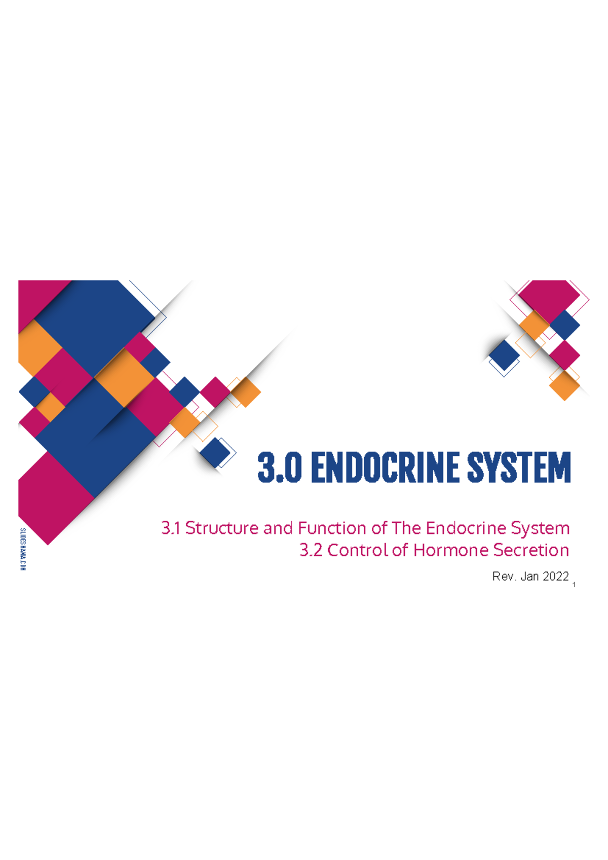 human system sem 2 - SLIDESMANIA 3 ENDOCRINE SYSTEM 3 Structure and ...