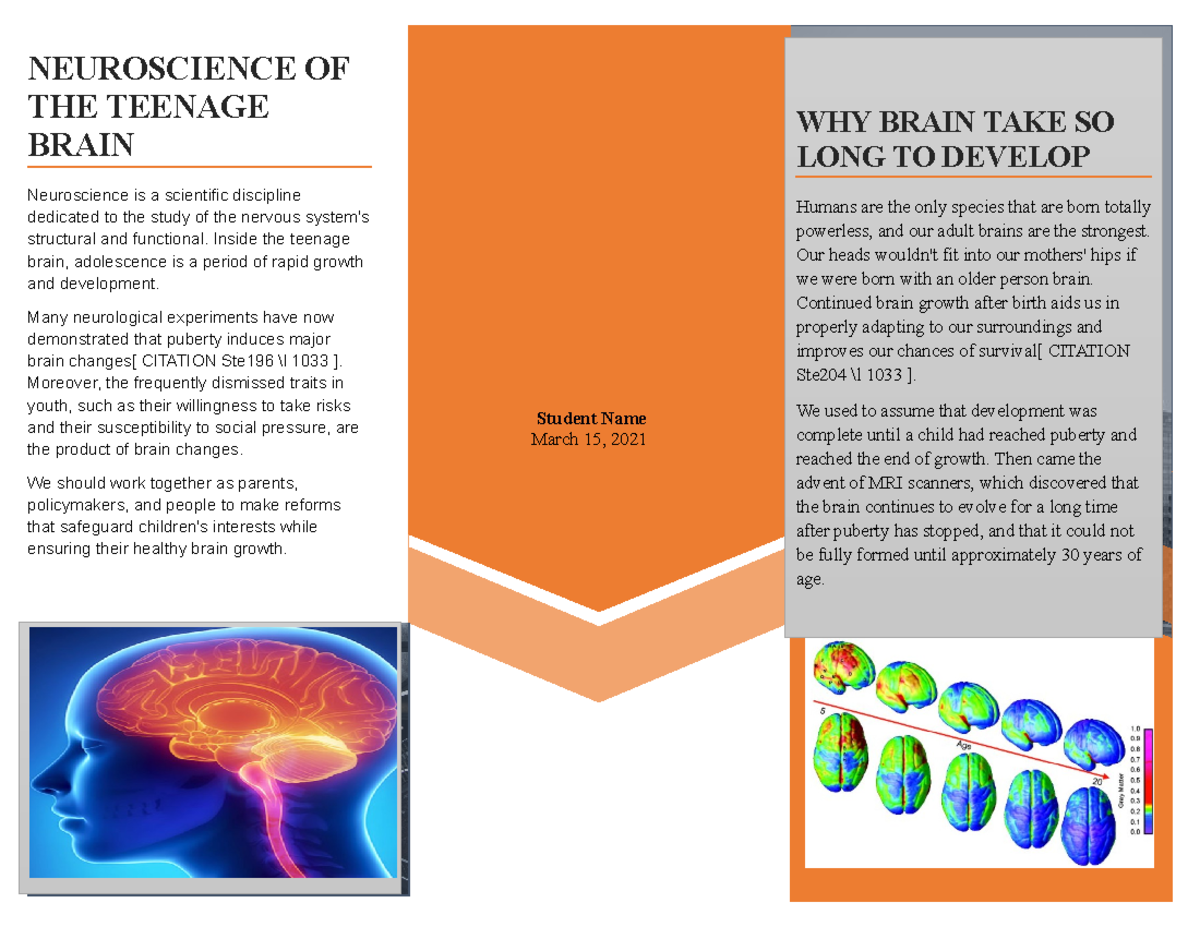 Teenage Brain - NEUROSCIENCE OF THE TEENAGE BRAIN Neuroscience is a ...