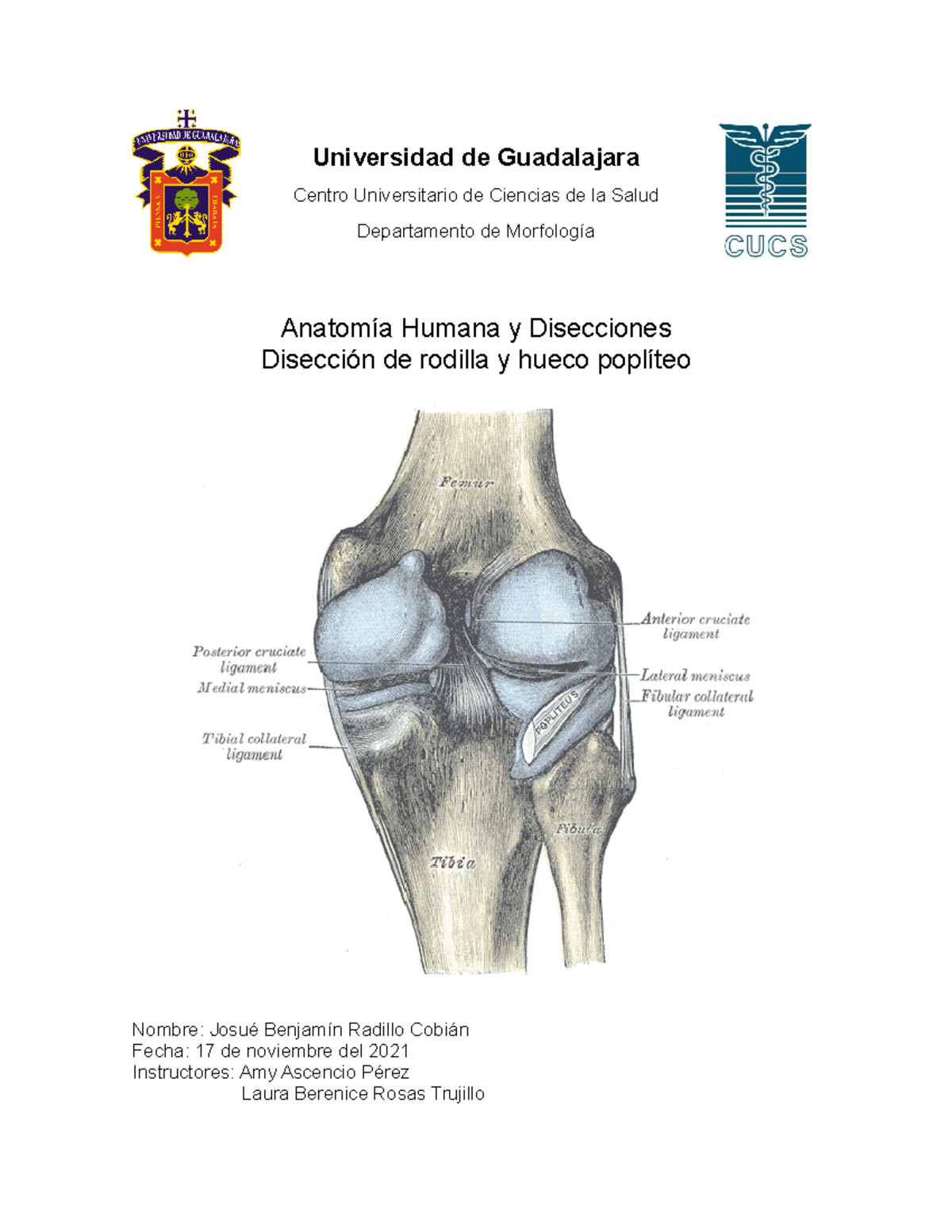 13. Rodilla y hueco poplíteo - Anatomía Humana y Disecciones Disección ...