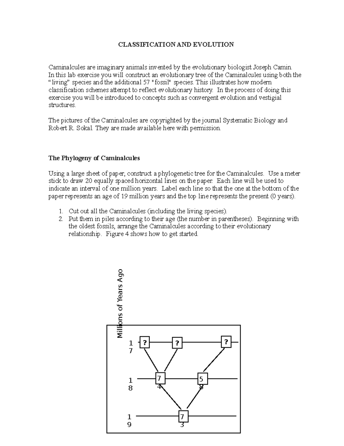 Phylogeny of Caminalcules - CLASSIFICATION AND EVOLUTION Caminalcules ...