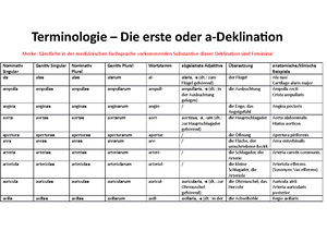 Adjektivübungen neu - Adjektivübungen Bestimmen Sie Kasus, Numerus und ...