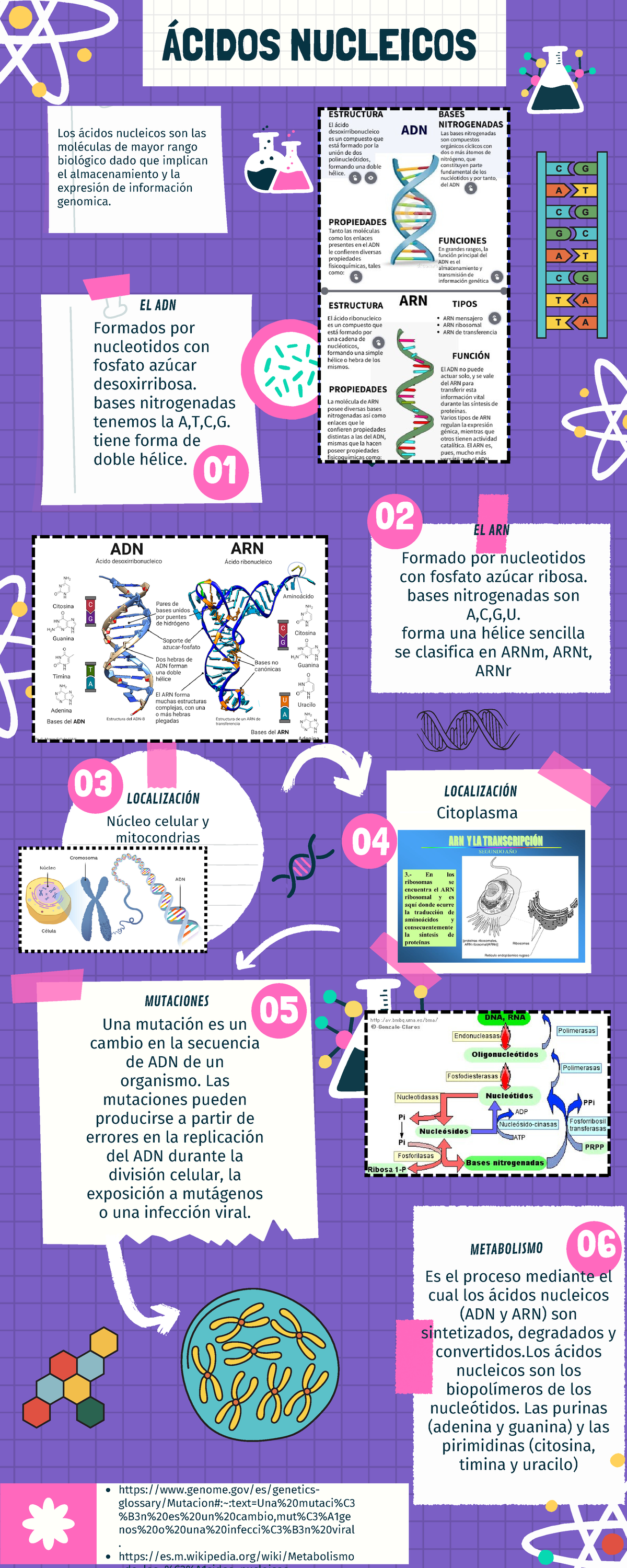 Poster Lorena Ospina Ruíz - Es el proceso mediante el cual los ácidos ...