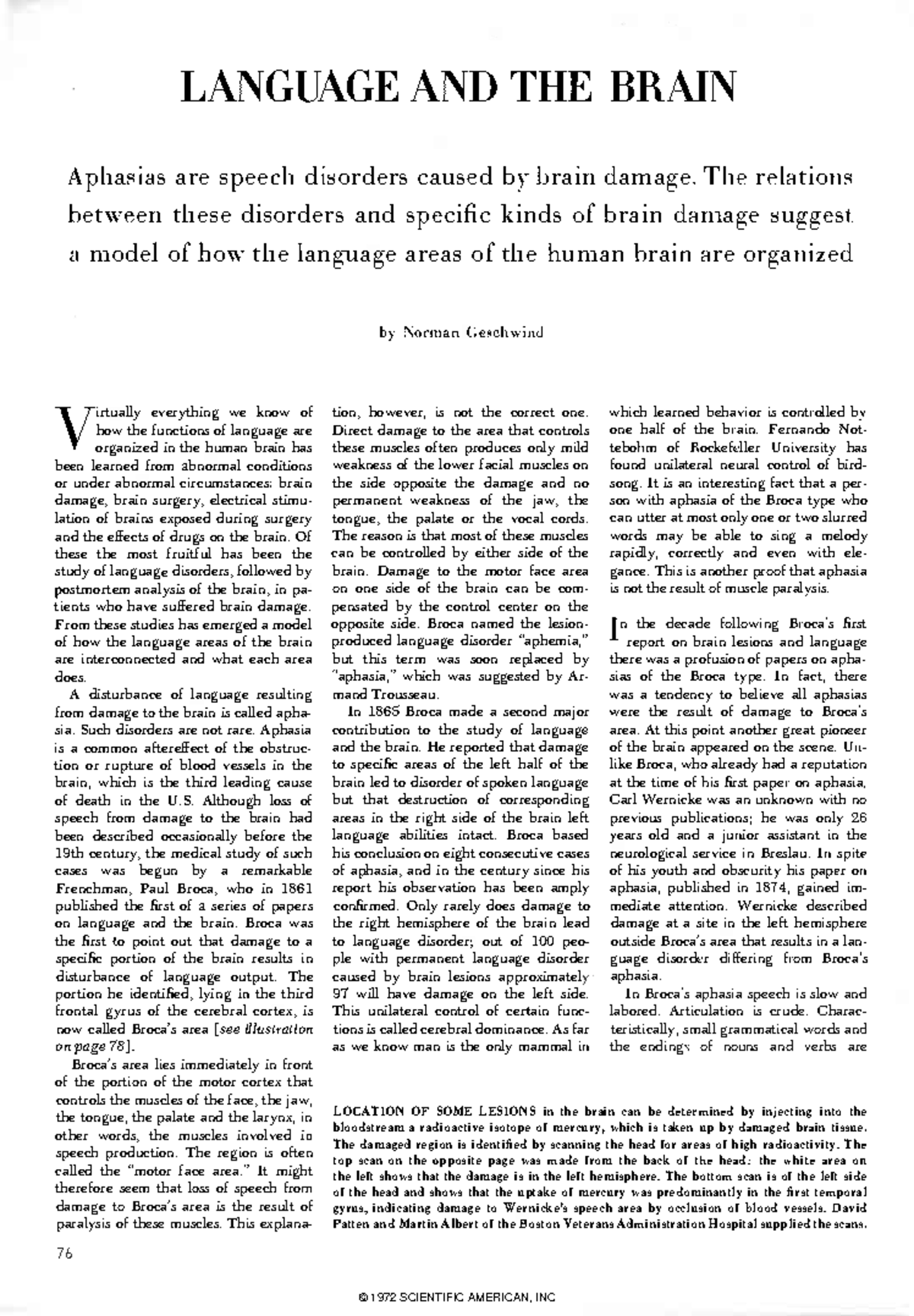 Geschwind's article on "The brain and the language" 1972 - LANGUAGE AND ...