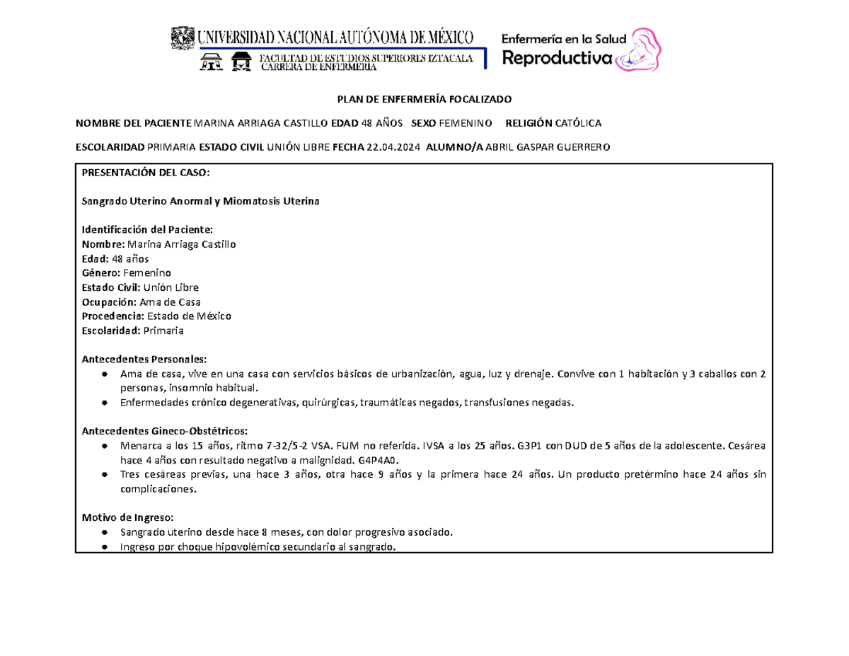 Formato PE Focalizado Orem - PLAN DE ENFERMERÍA FOCALIZADO NOMBRE DEL ...