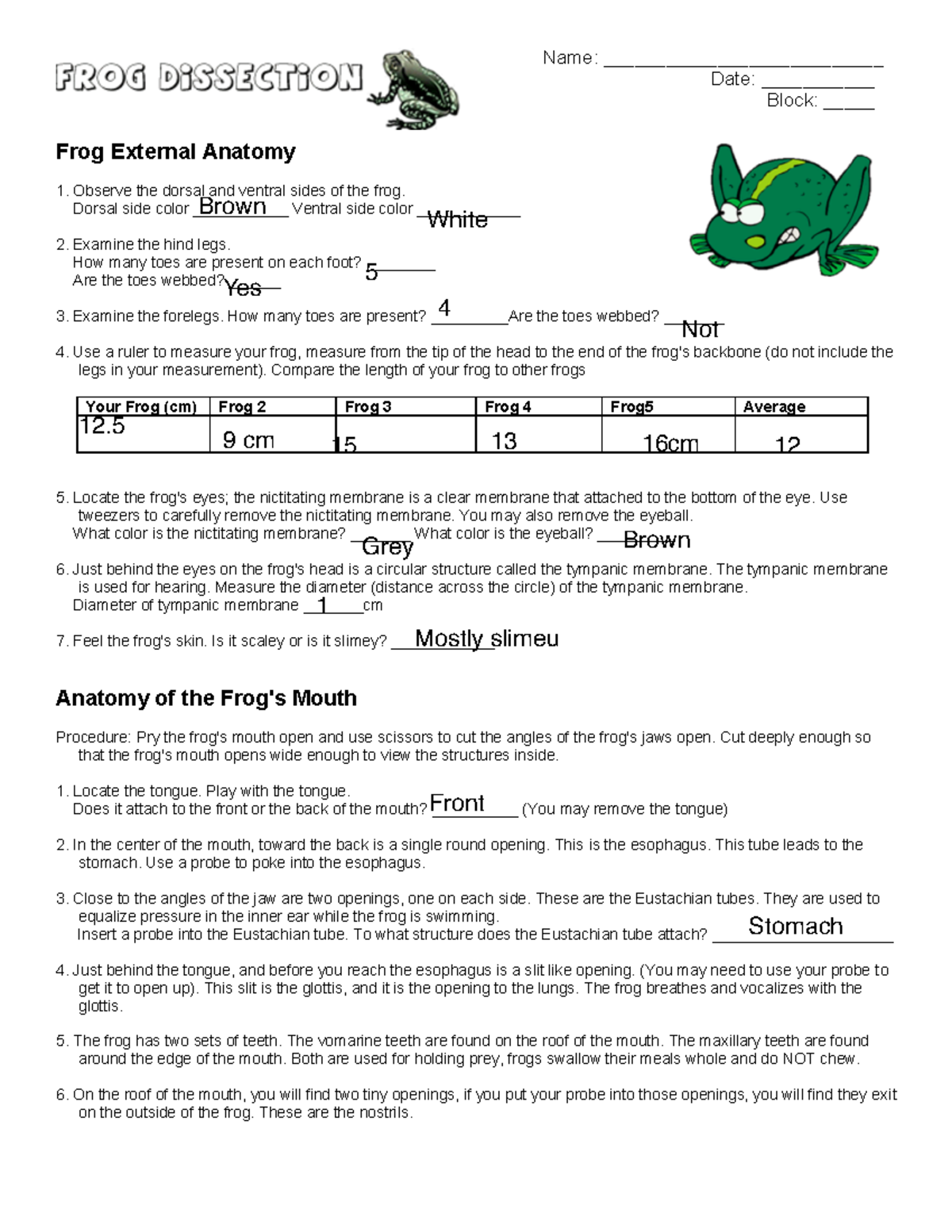 Edited - Ryan Smith - Frog Dissection Lab - Frog External Anatomy 1 ...