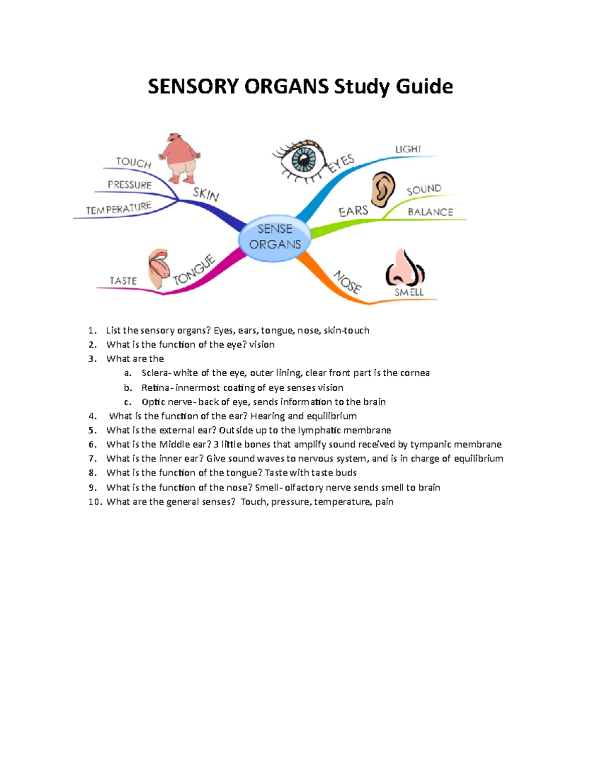 Sensory Organs Study Guide - SENSORY ORGANS Study Guide List the ...