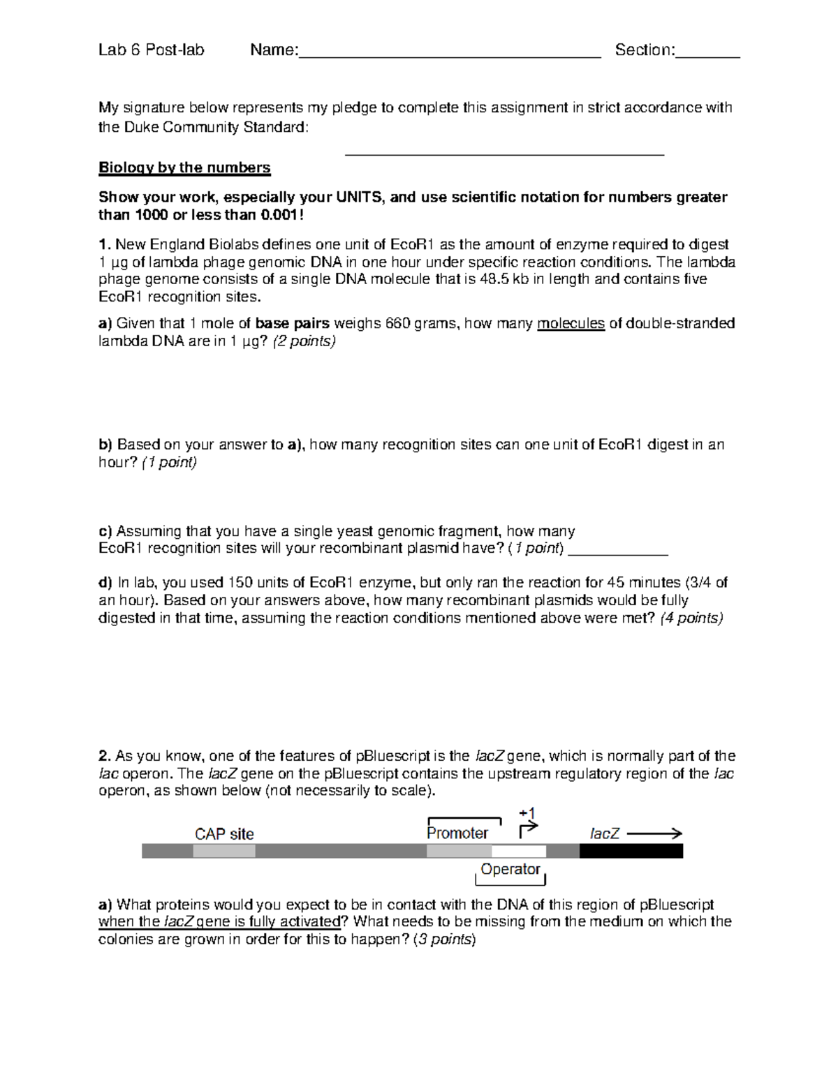 Lab 6 post-lab 2-27-19 - Lab 6 Post-lab Name ...