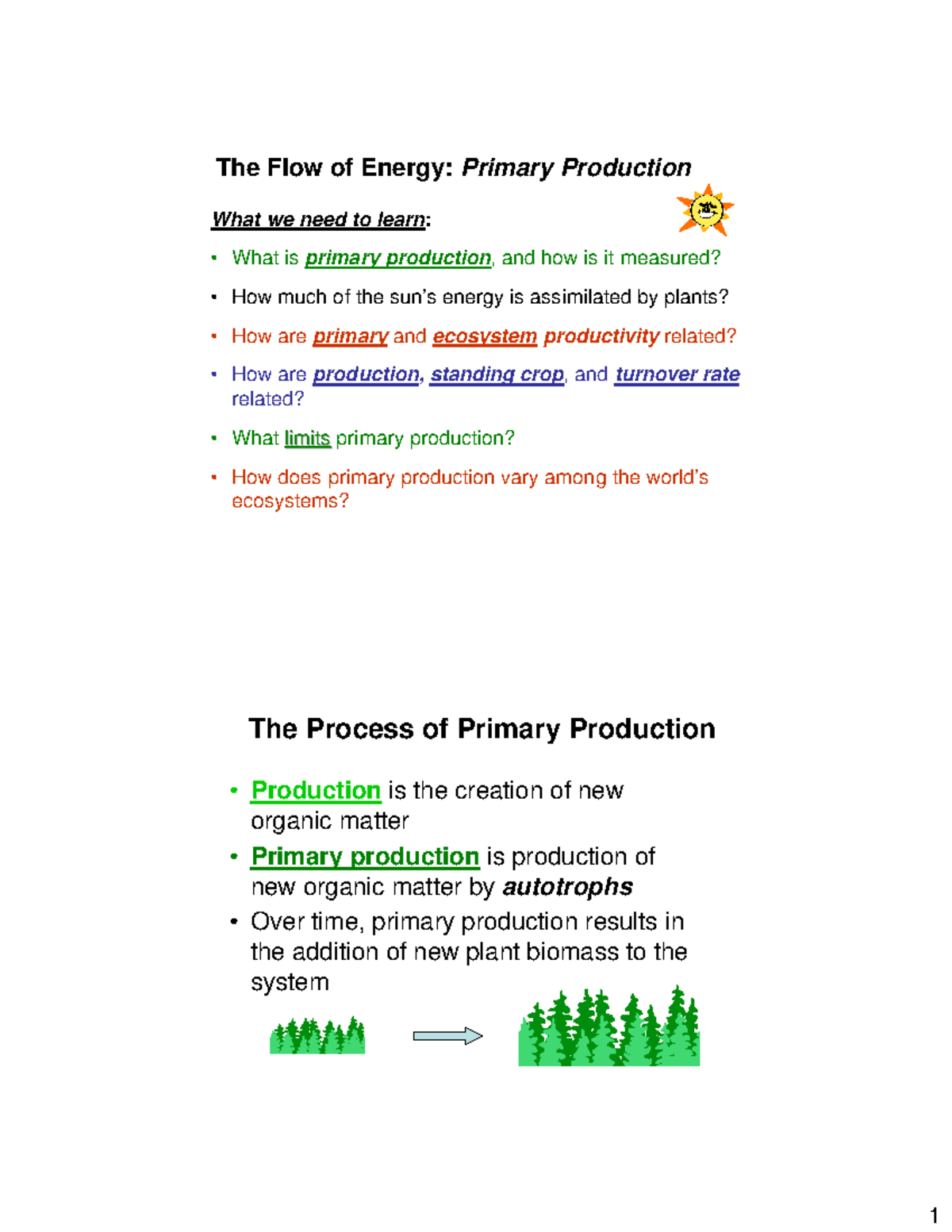 Energy Flow lecture large - The Flow of Energy: Primary Production What ...