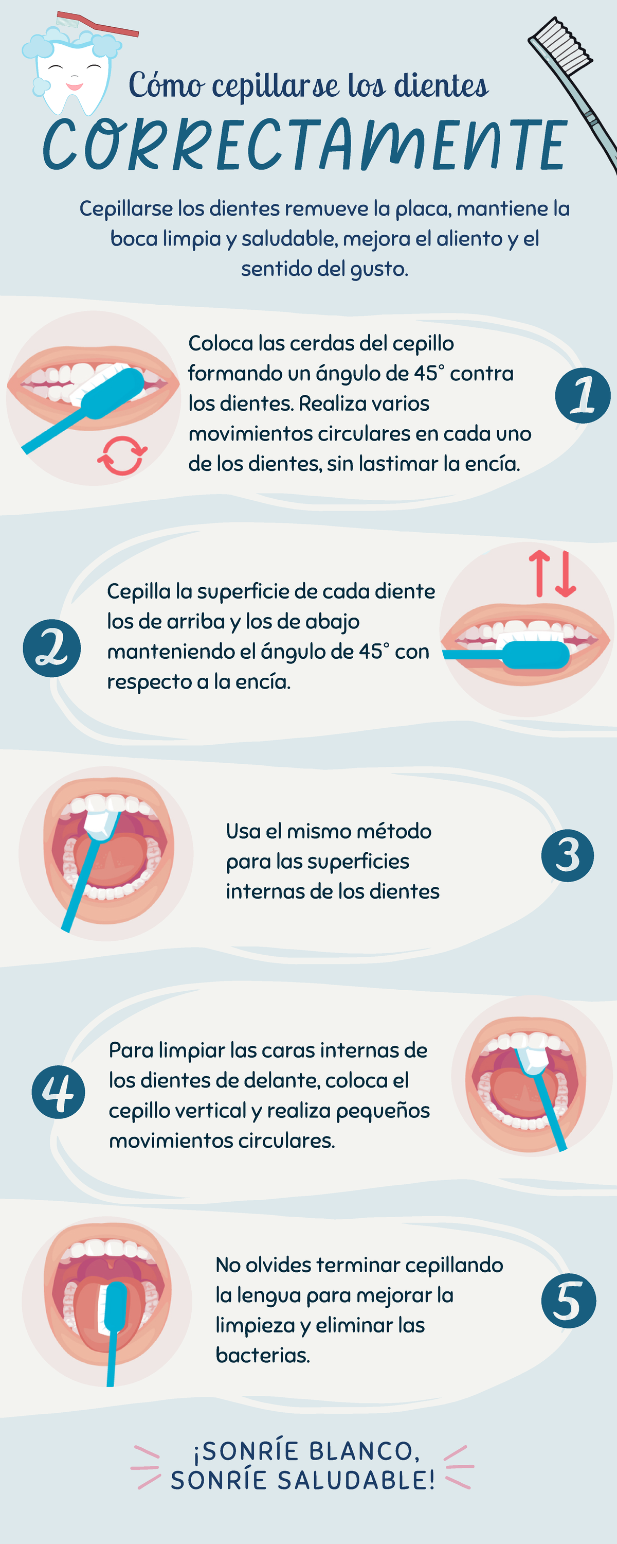 Cepillado - INFOGRAFIA - Cómo cepillarse los dientes CORRECTAMENTE ...