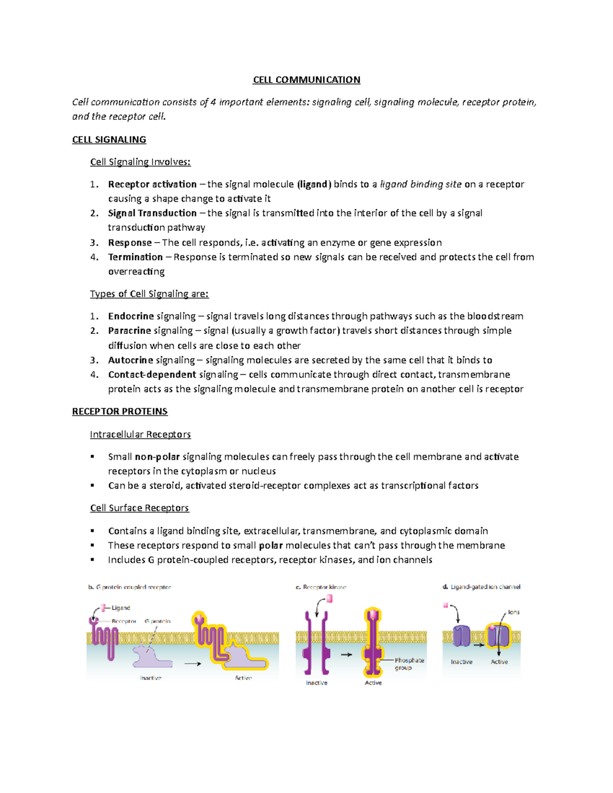 (11) Cell Communication - CELL COMMUNICATION Cell communication ...