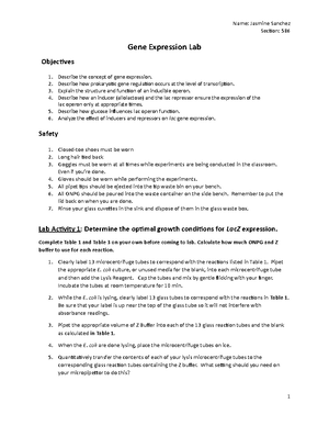 Enzyme Lab Protocoland Datasheet v4-3 - Tagged - Section ...