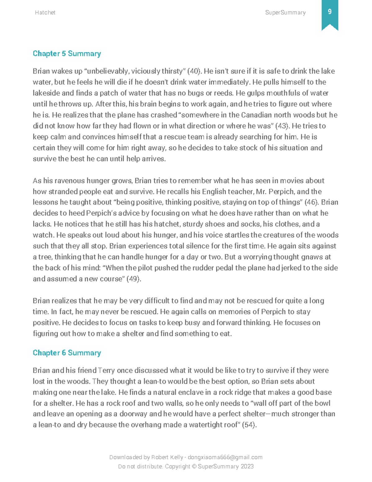 Hatchet - Super Summary Study Guide 10 - Chapter 5 Summary Brian wakes ...