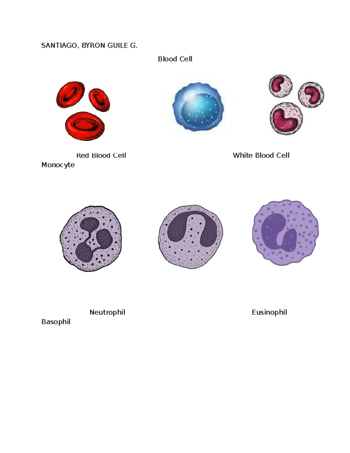 Types of Cells - Marine Biology - SANTIAGO, BYRON GUILE G. Blood Cell ...