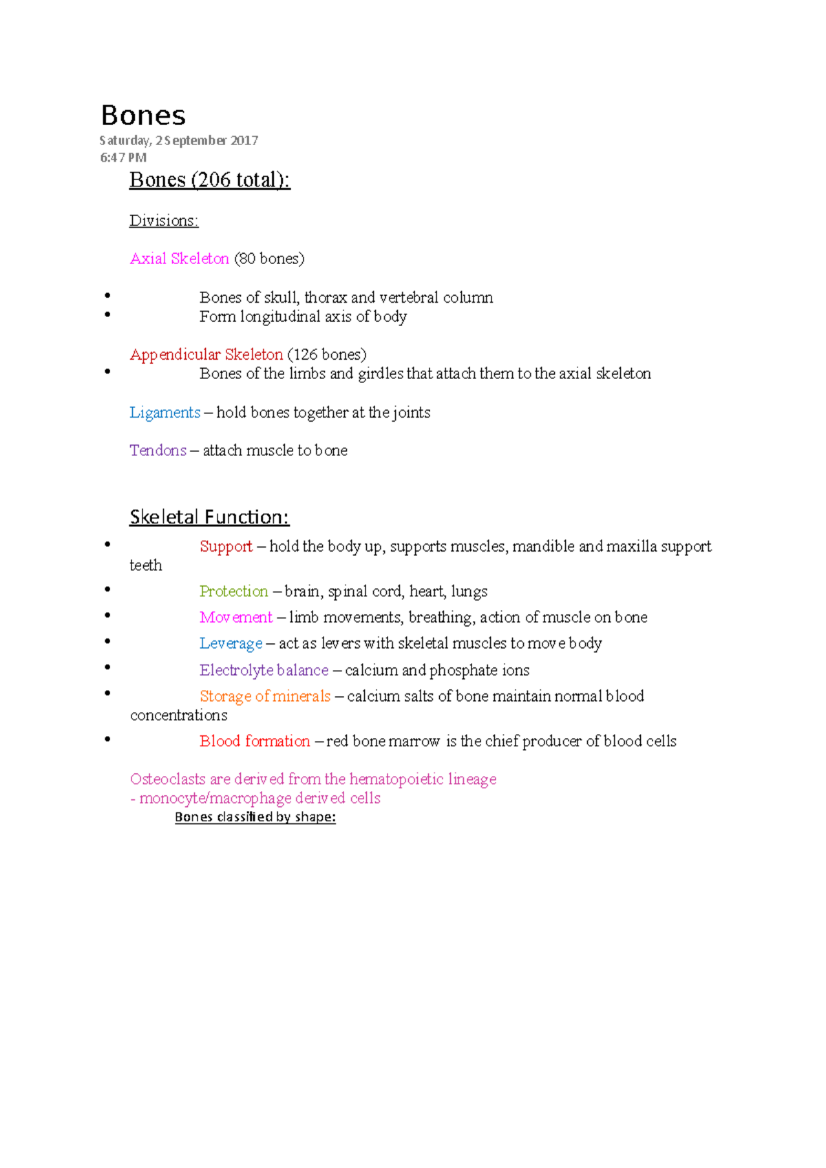 Bones - Summary Human Anatomy and Physiology - Bones Saturday, 2 ...