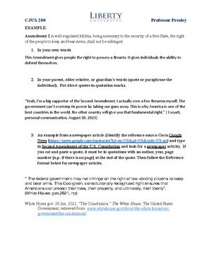Accounting 2023 2025 sy - Version 1 Syllabus Cambridge IGCSE ...