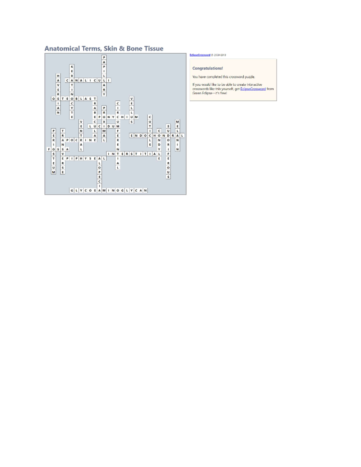 Puzzle 1-Anatomical Terms, Skin & Bone Tissue - Anatomical Terms, Skin ...