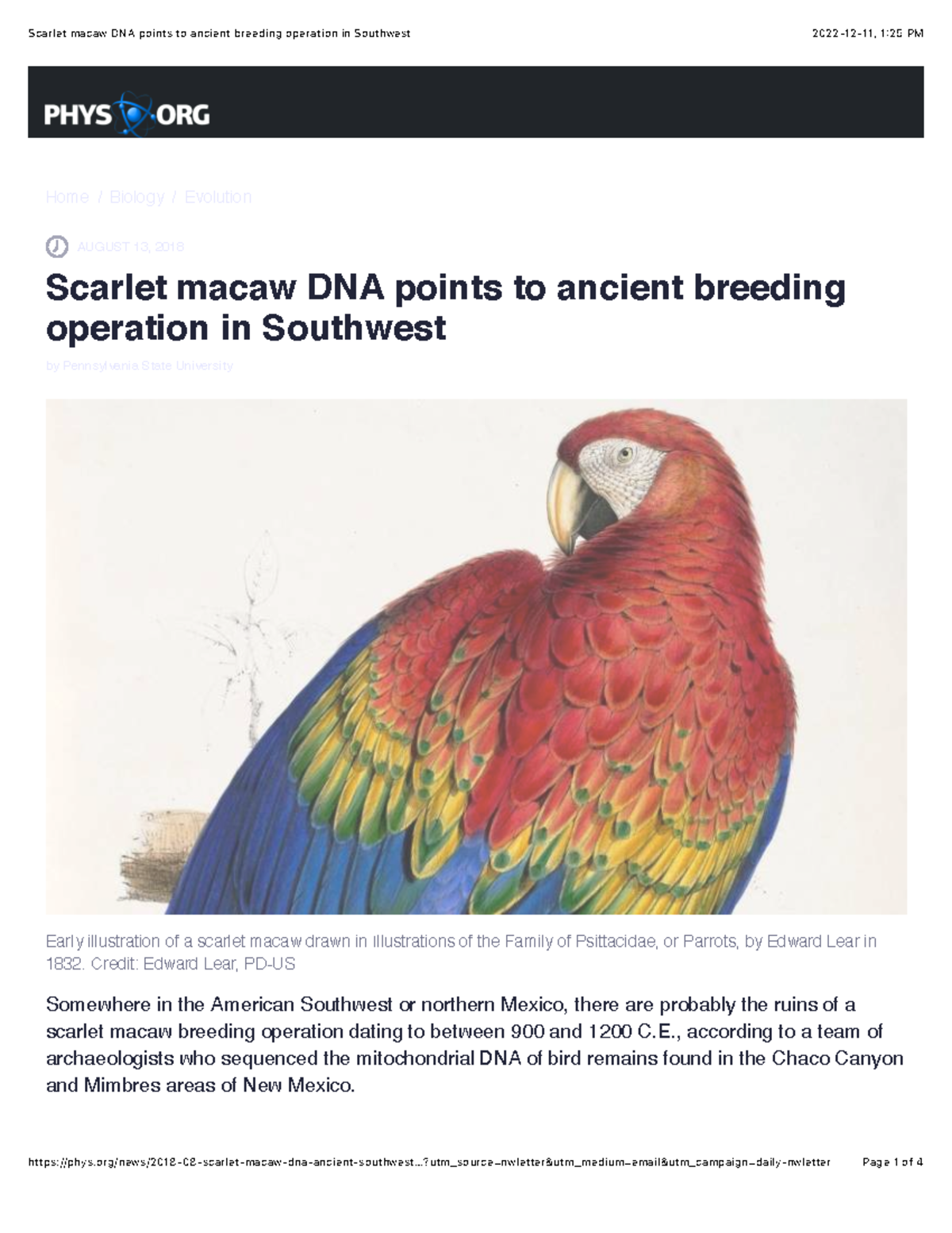 7 Scarlet macaw DNA points to ancient breeding operation in Southwest ...