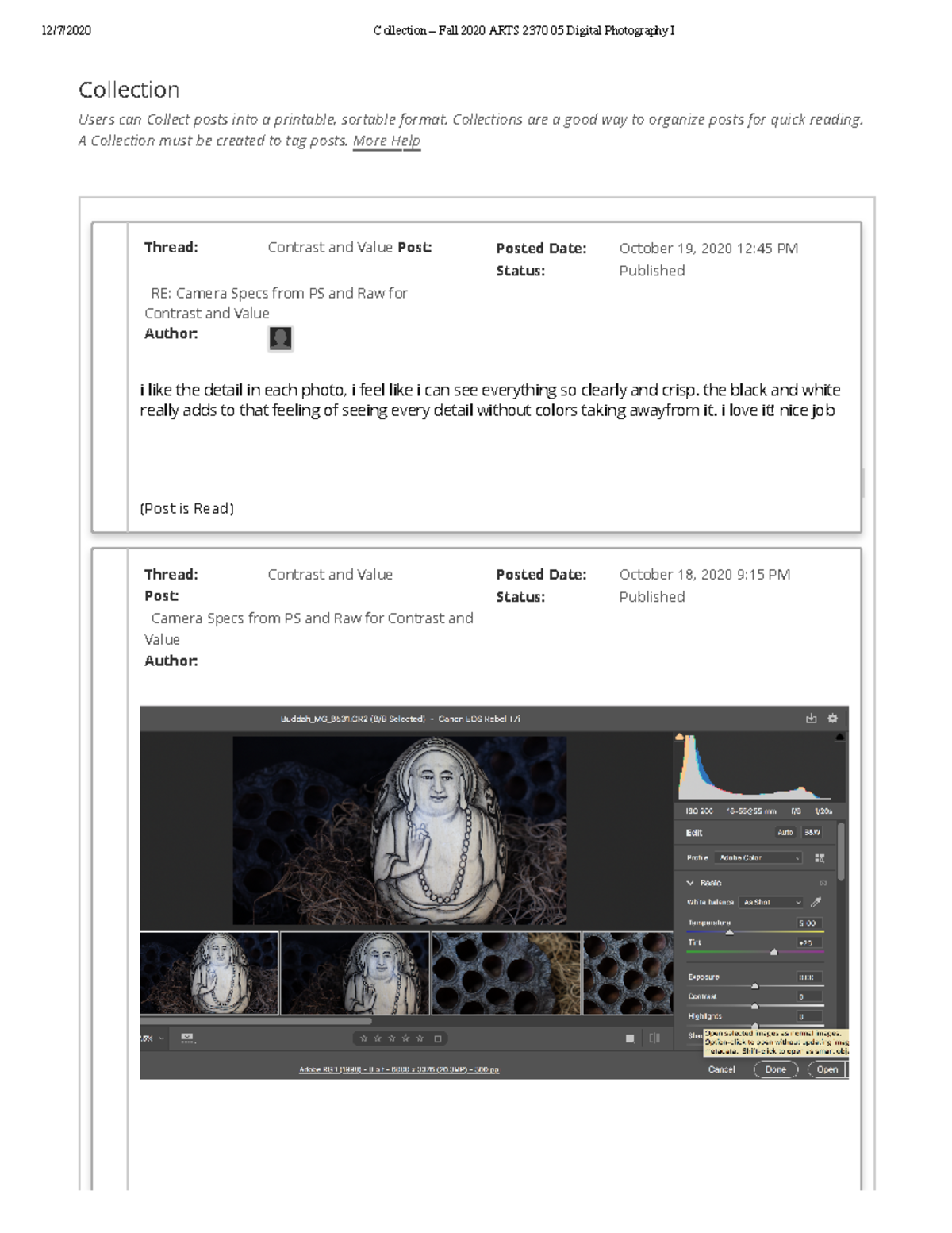 Contrast and Value Assignment Collection 3– Fall 2020 ARTS 2370 05 ...