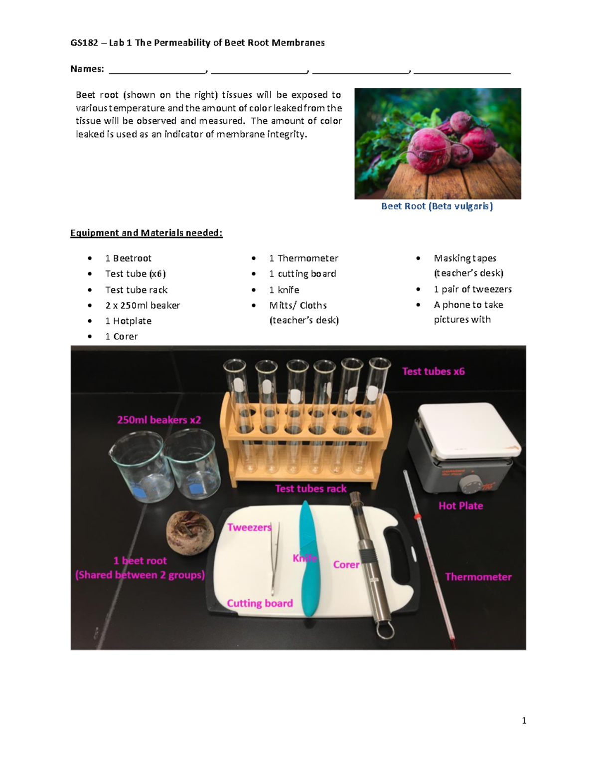 Lab 1 (sep 29) - Beet root Lab report - Names ...