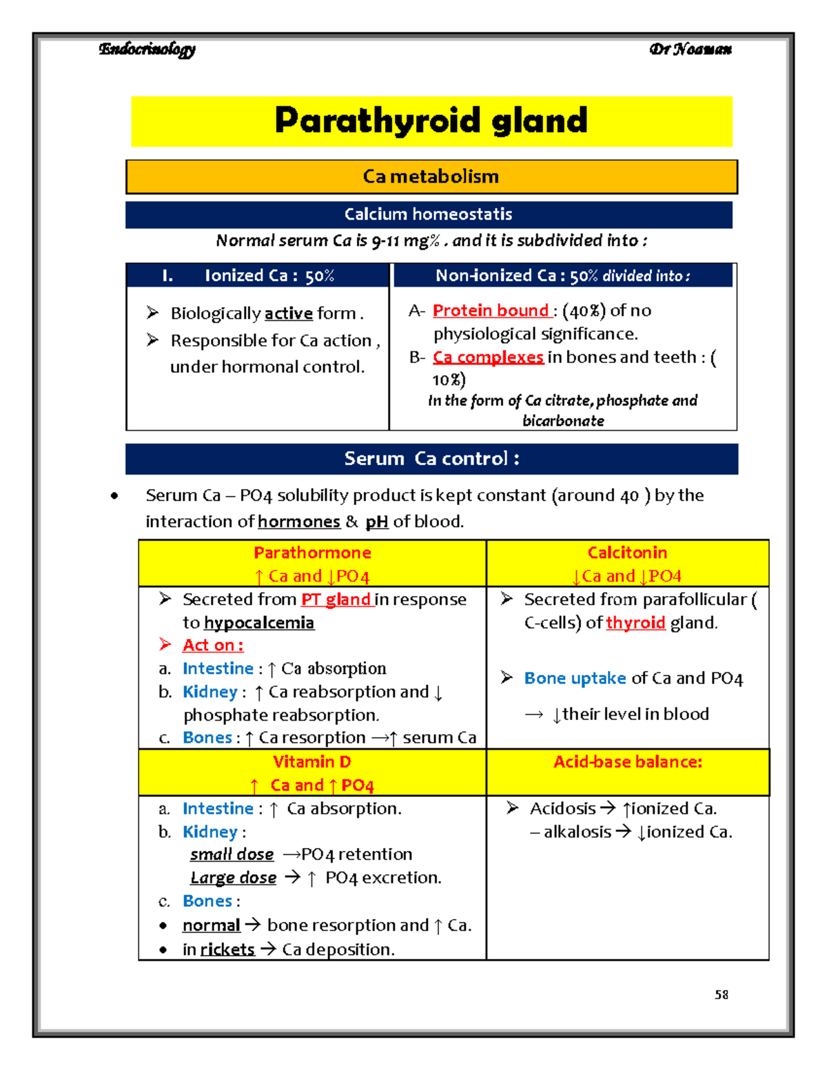 Parathyroid gland - internal medicine - Parathyroid gland Ca metabolism ...