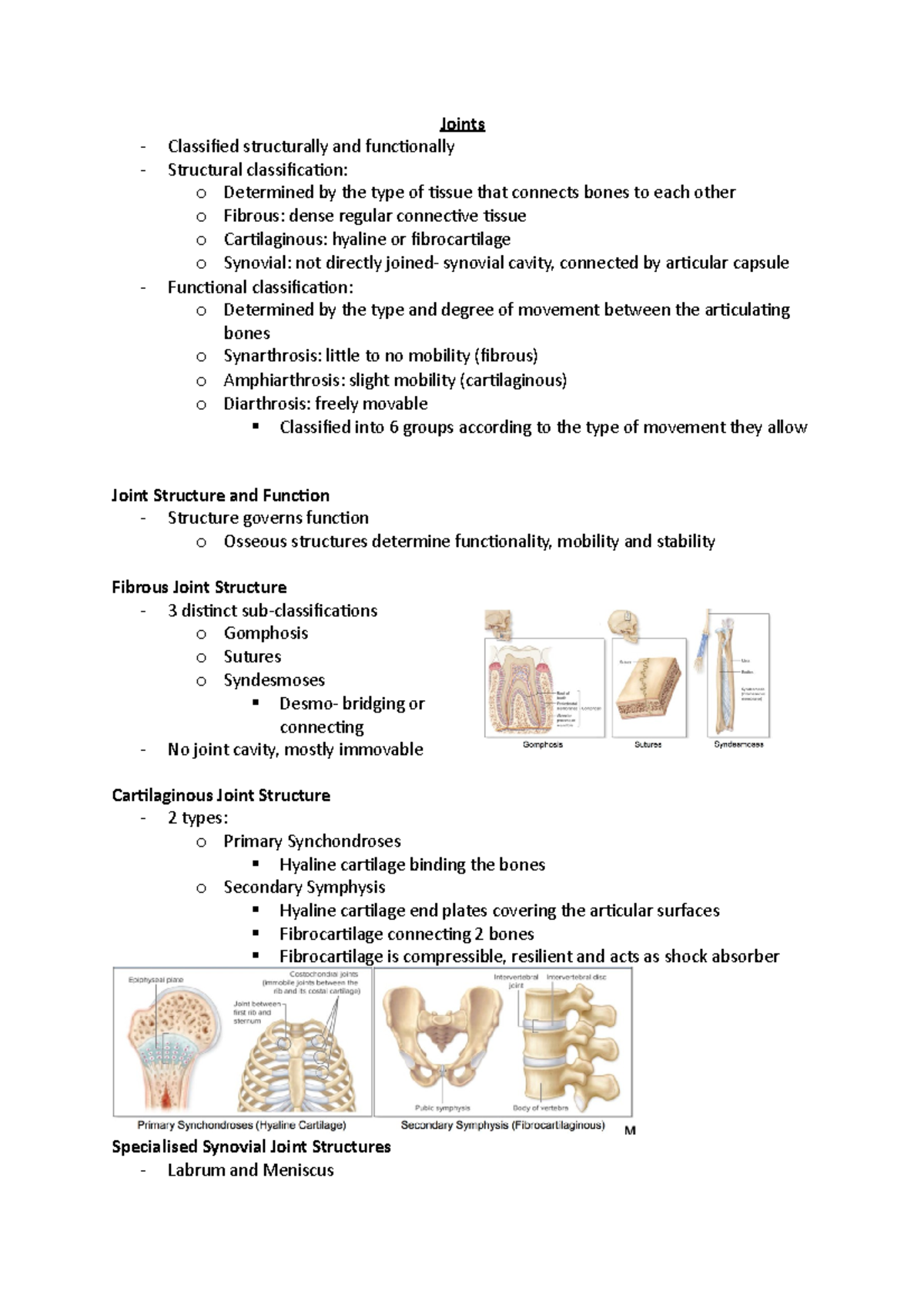Joints - Lecture notes on joint anatomy - Joints Classified ...