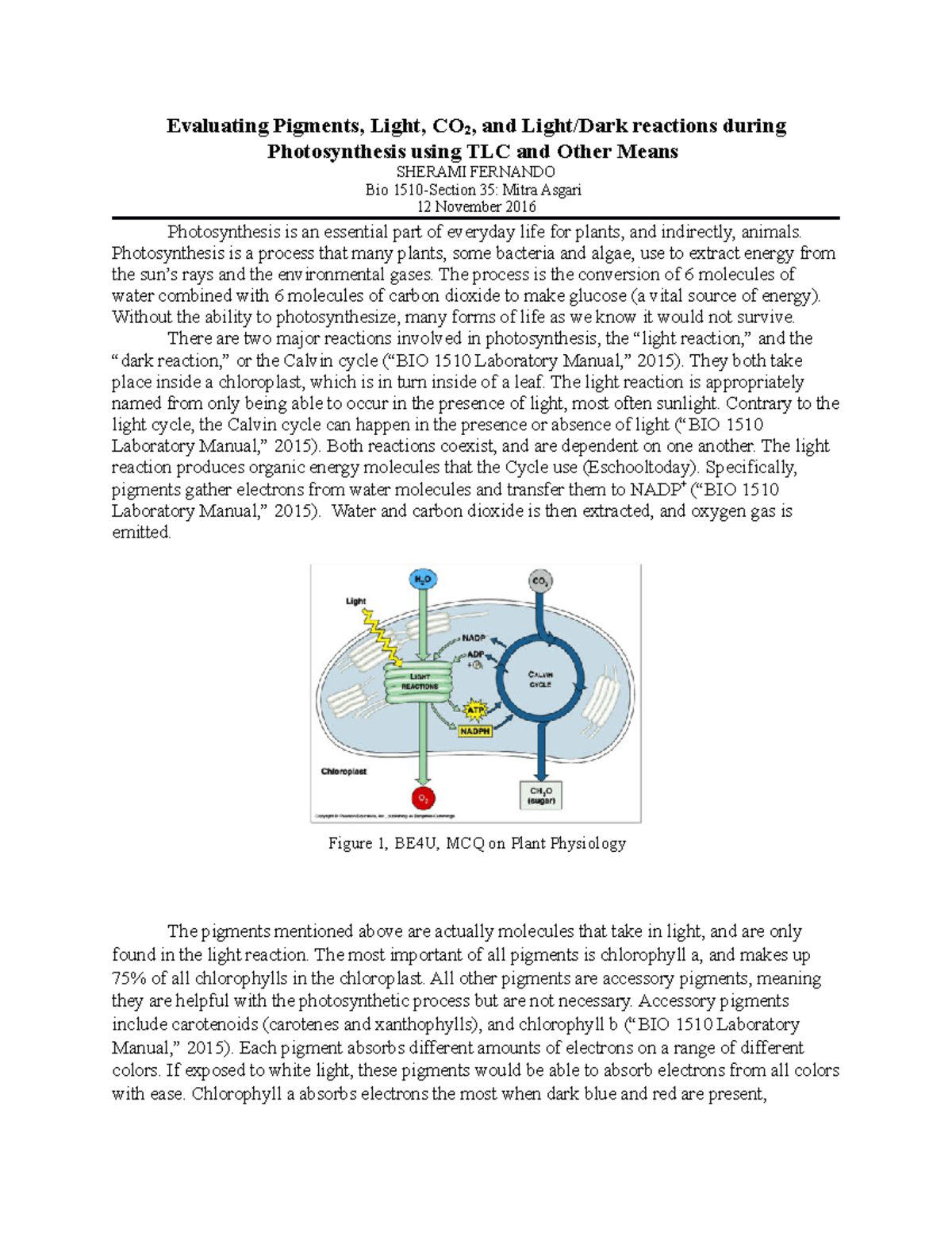 Photosynthesis - lab work - Evaluating Pigments, Light, CO 2 , and ...