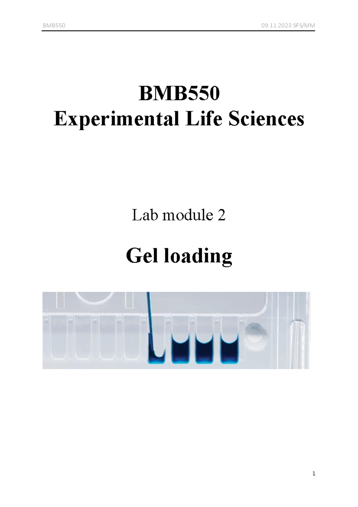 Lab-module 2 gel loading updated 2023 - BMB550 09. 11. 2023 SFS/MM 1 ...