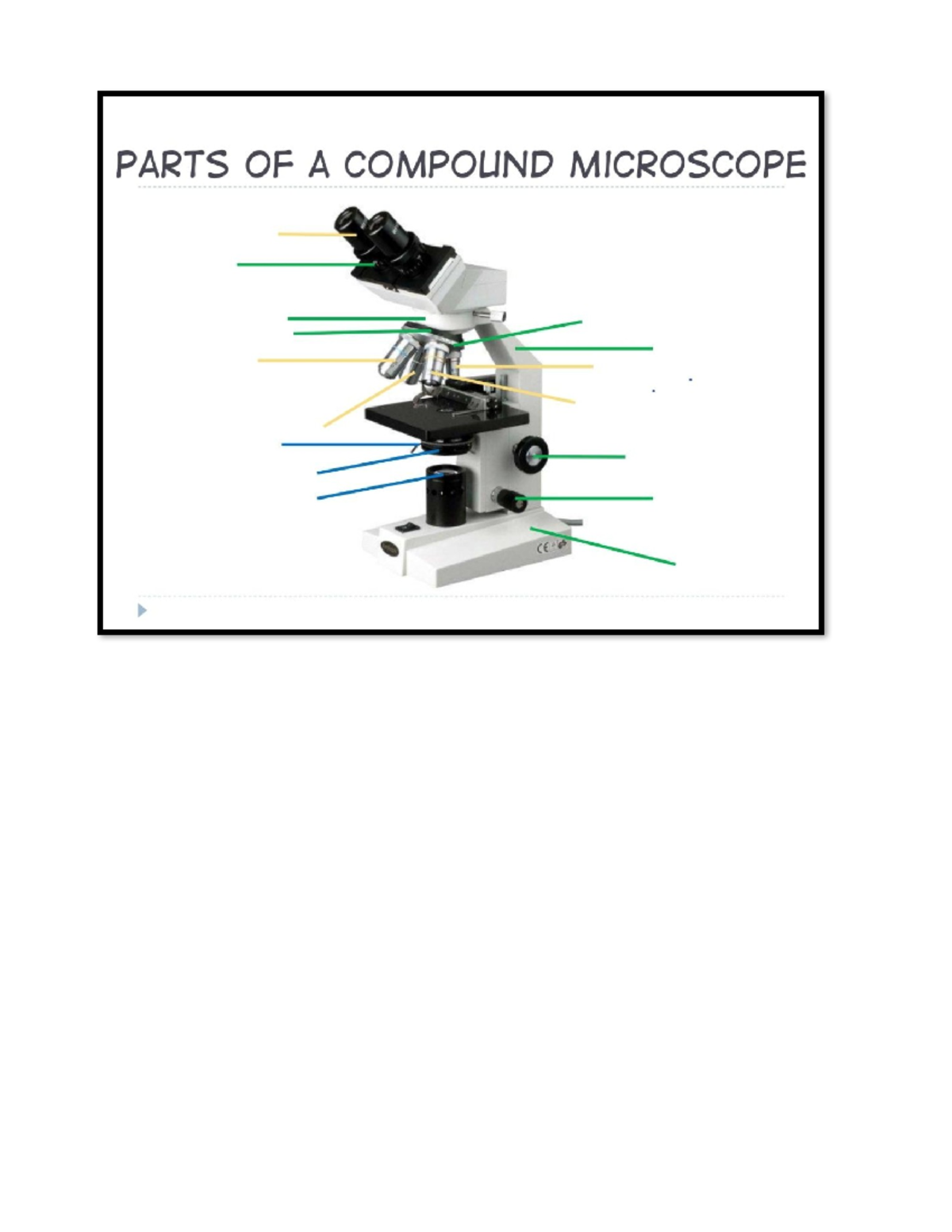 Microscope - Medical Technology - Studocu